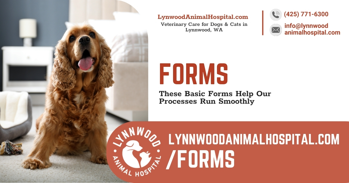 Forms | Lynnwood Animal Hospital | Vet Care for Dogs & Cats