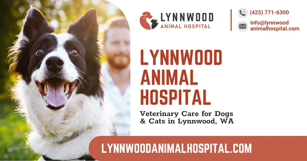 Lynnwood Animal Hospital | Providing Exceptional Veterinary Care Since 1991
