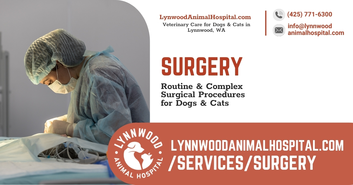 Surgery | Lynnwood Animal Hospital | Spays & Neuters for Dogs & Cats